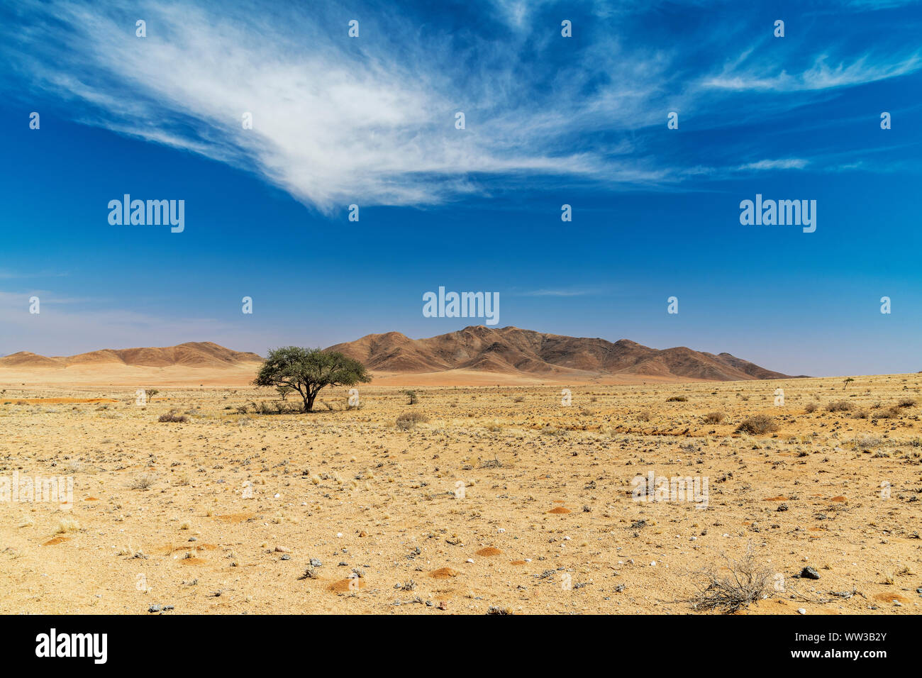 Desert landscape, Namibia Stock Photo - Alamy