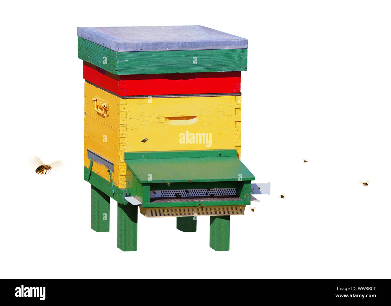 White flowers surrounded Cut Out Stock Images & Pictures - Alamy