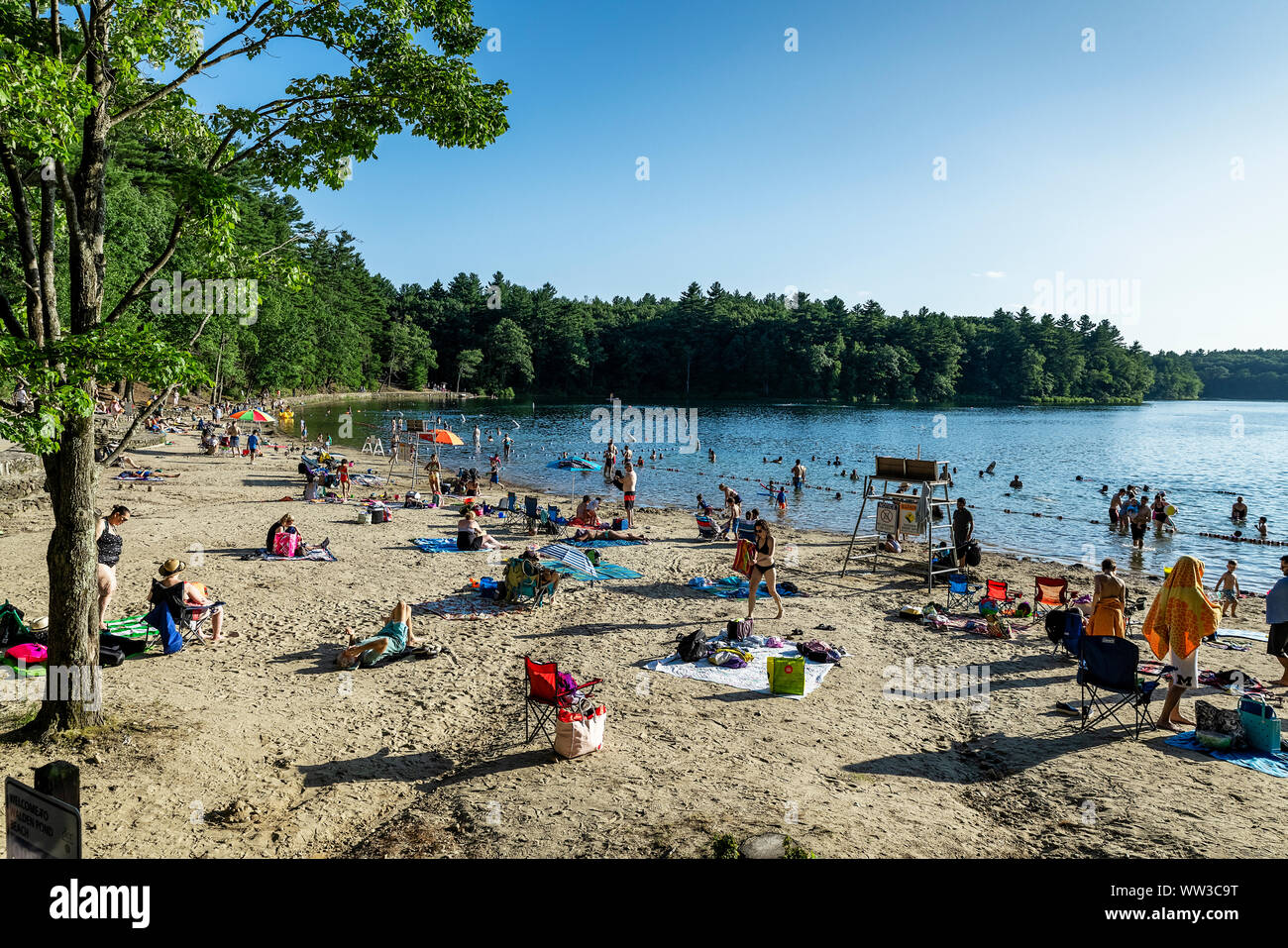 Walden Pond beach is a popular swimming destination, Concord ...