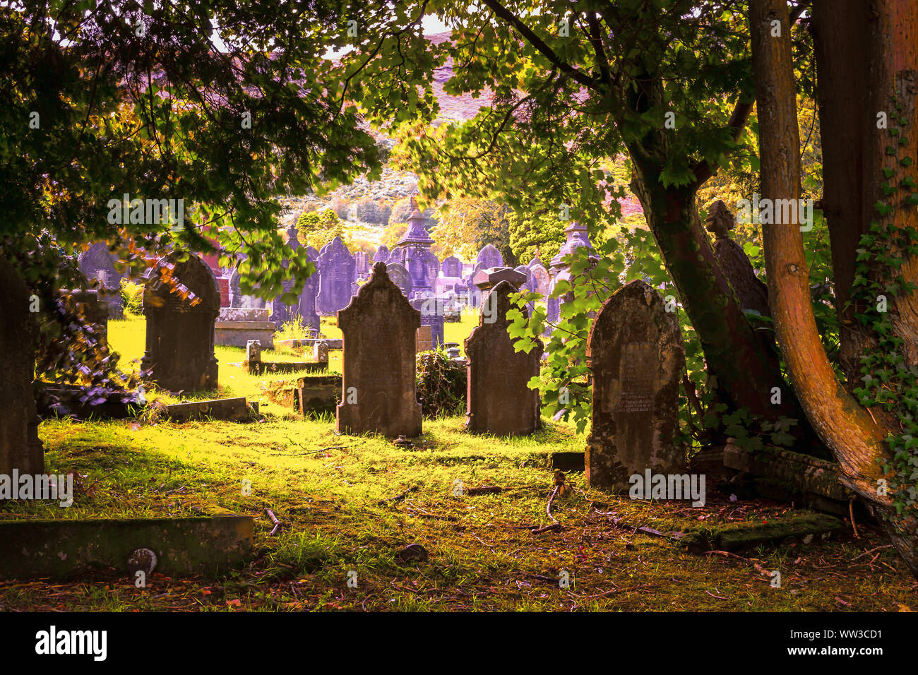 Graves and monuments in the cemetery Stock Photo - Alamy