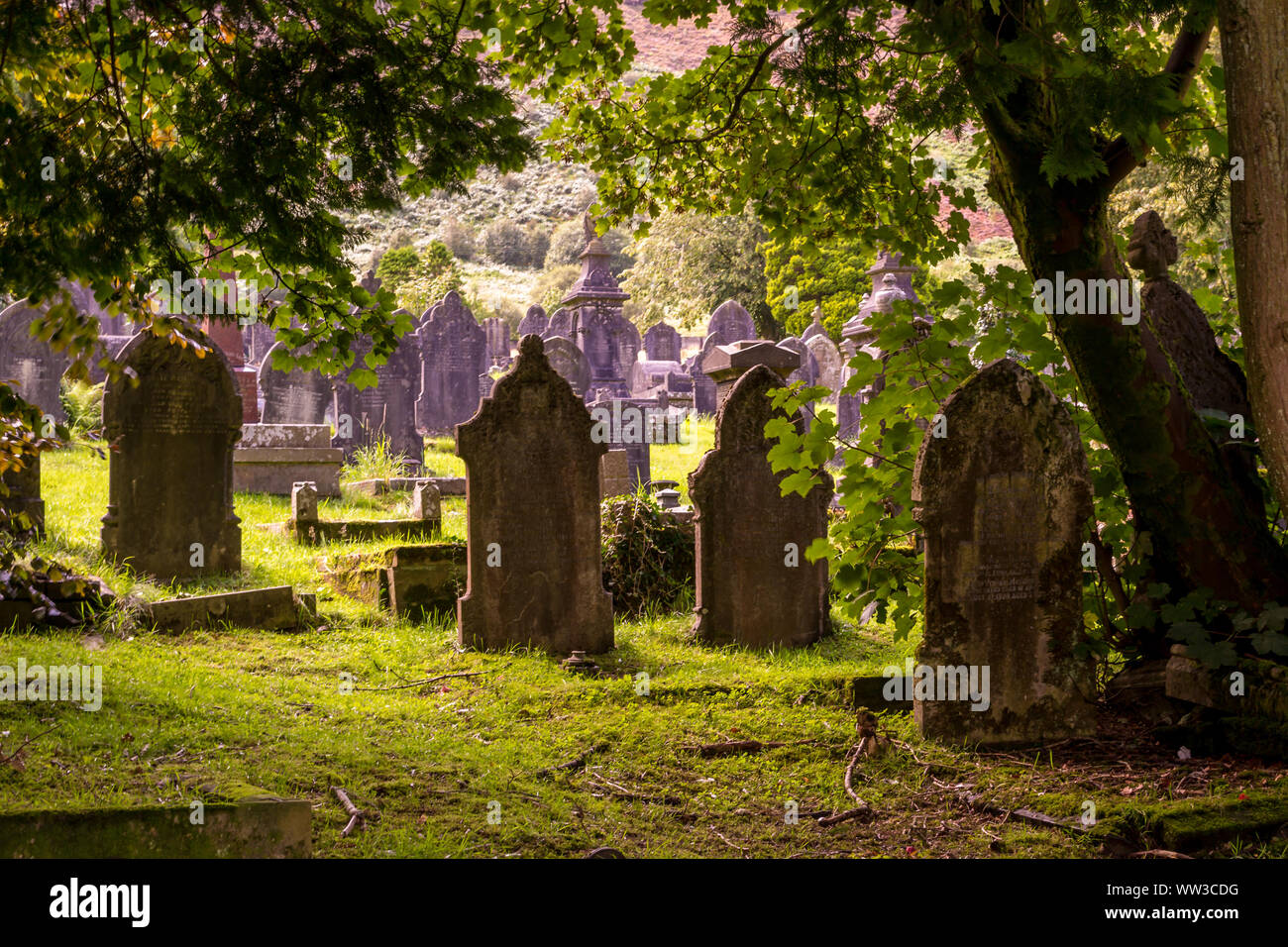 Monuments in the cemetery hi-res stock photography and images - Alamy
