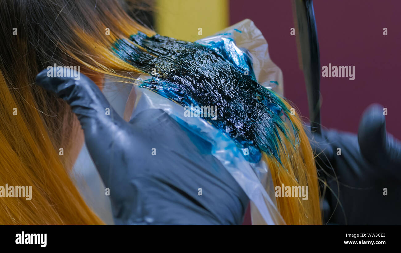 Professional hairdresser coloring hair of woman client at studio Stock ...