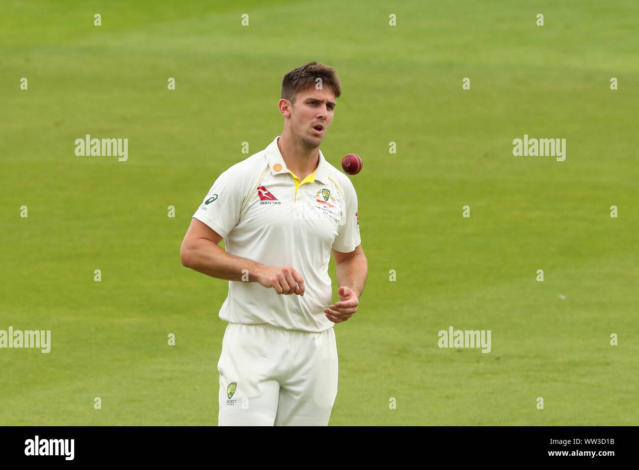Cricket player mitchell marsh hi-res stock photography and images - Alamy