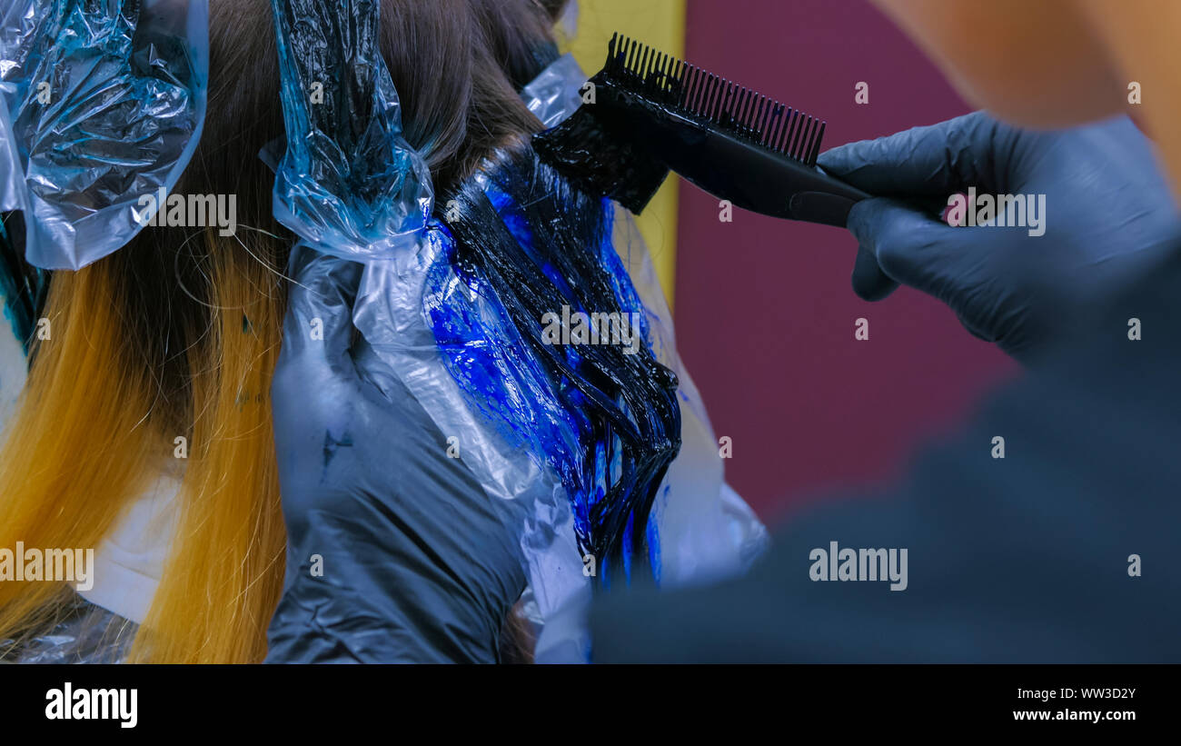 Professional hairdresser coloring hair of woman client at studio Stock ...