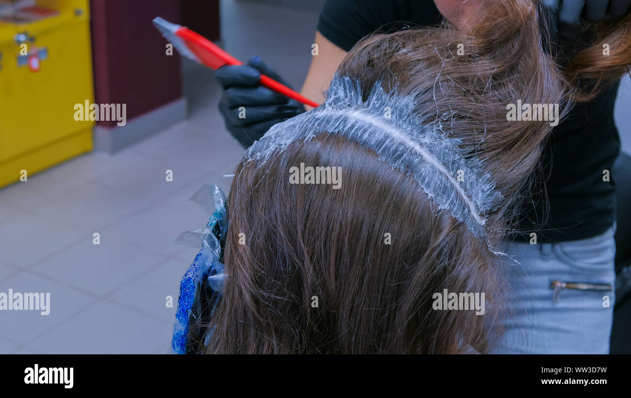Professional hairdresser coloring hair of woman client at studio Stock ...