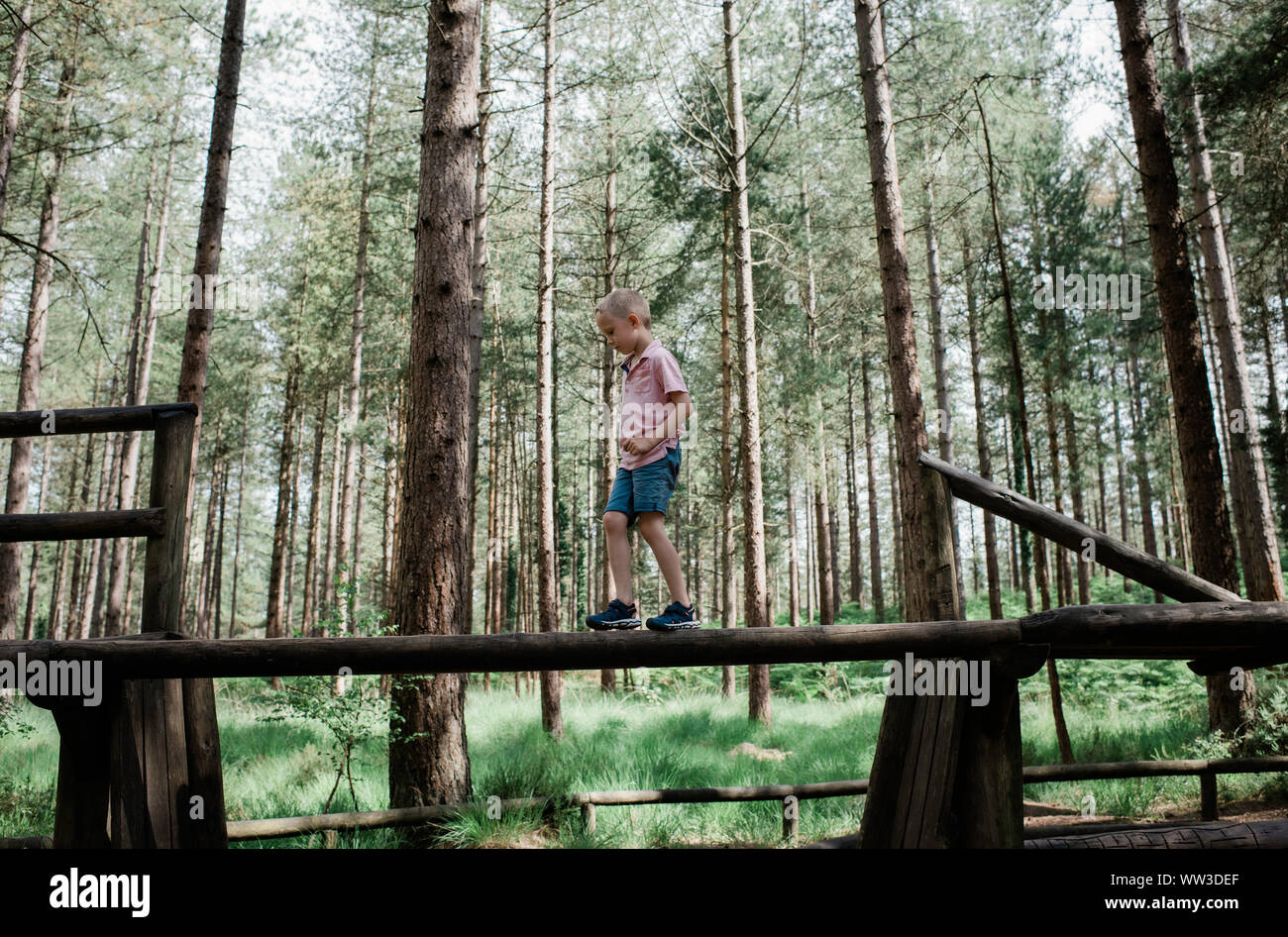 Boy river bridge woods hi-res stock photography and images - Alamy