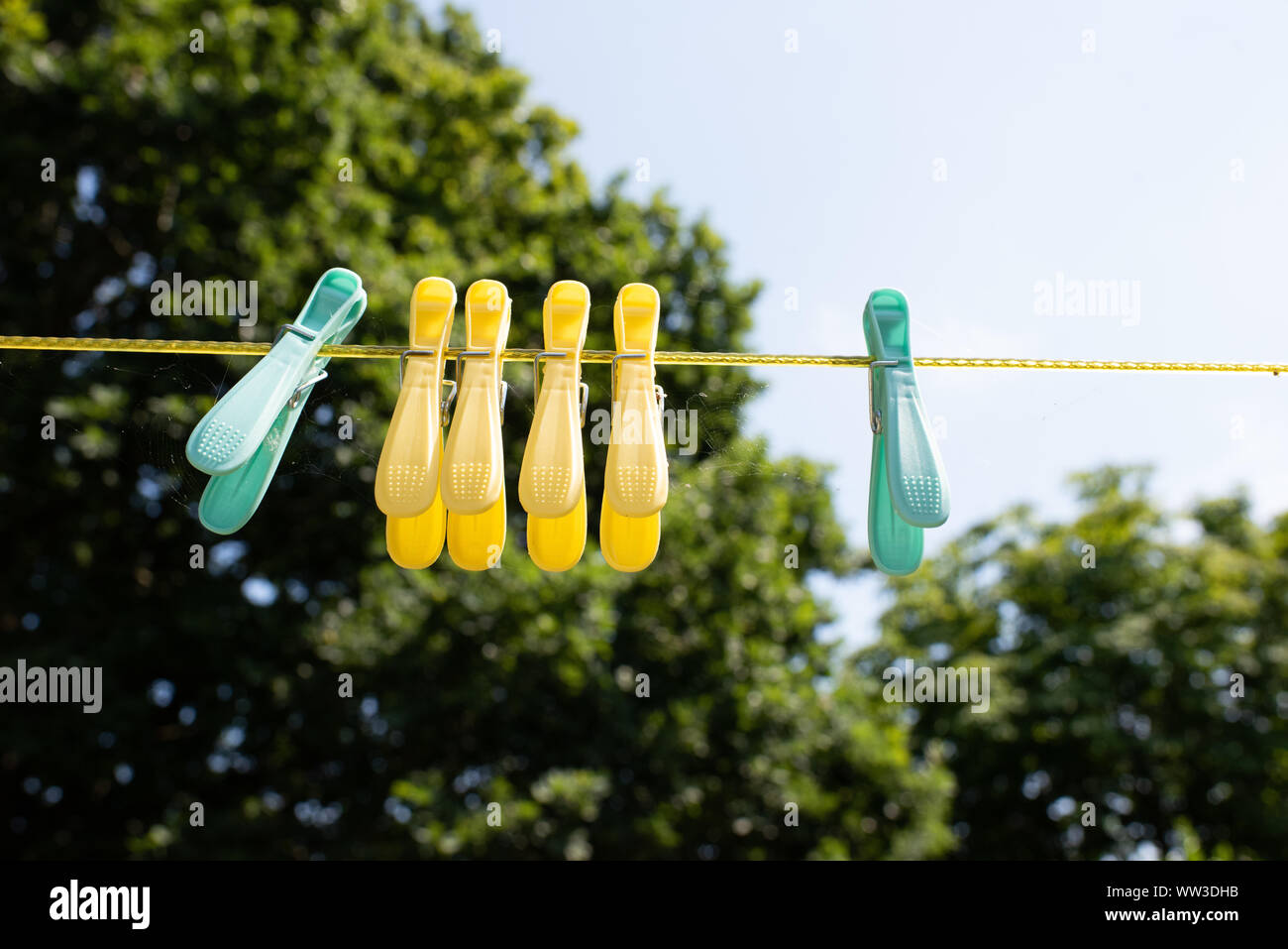coloured pegs hanging on a washing line in an english country garden ...