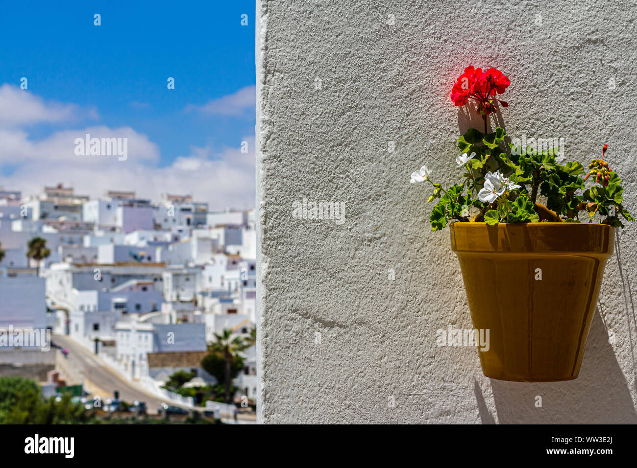 Spain andalusia flower spring hi-res stock photography and images - Alamy