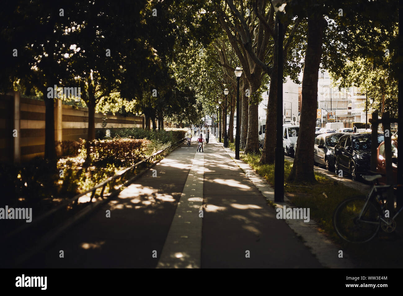 Sunny street of Paris, france, with trees, sunspots and walking people ...