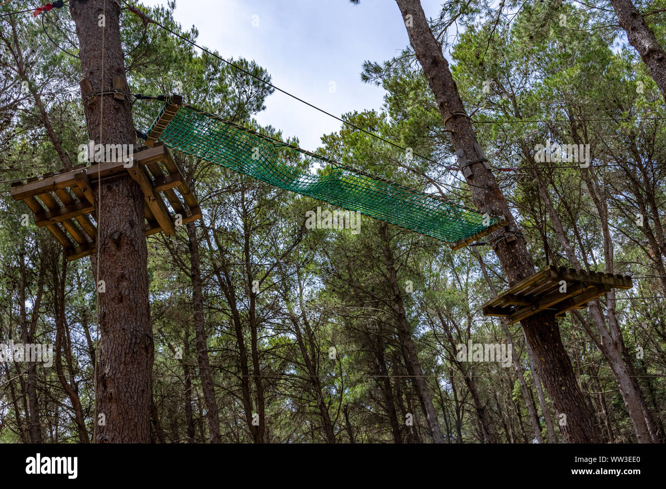 Area of a forest by air path Stock Photo - Alamy