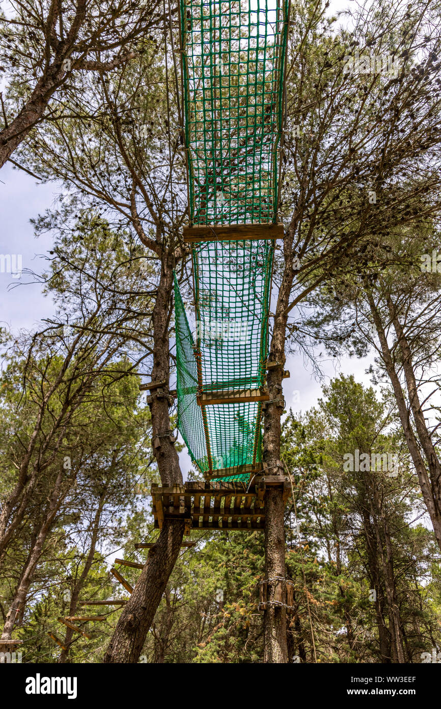Area of a forest by air path Stock Photo - Alamy
