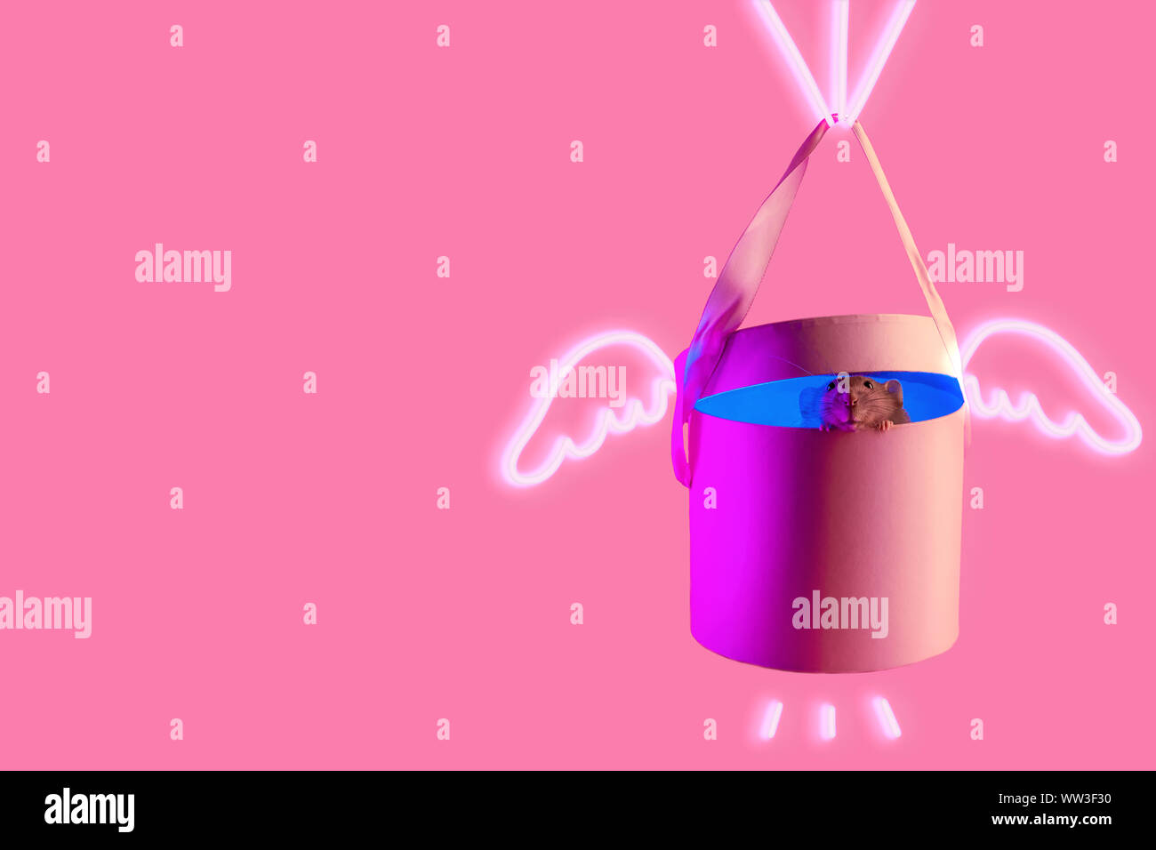 cute decorative rat symbol of the year in neon light in gift on pink ...