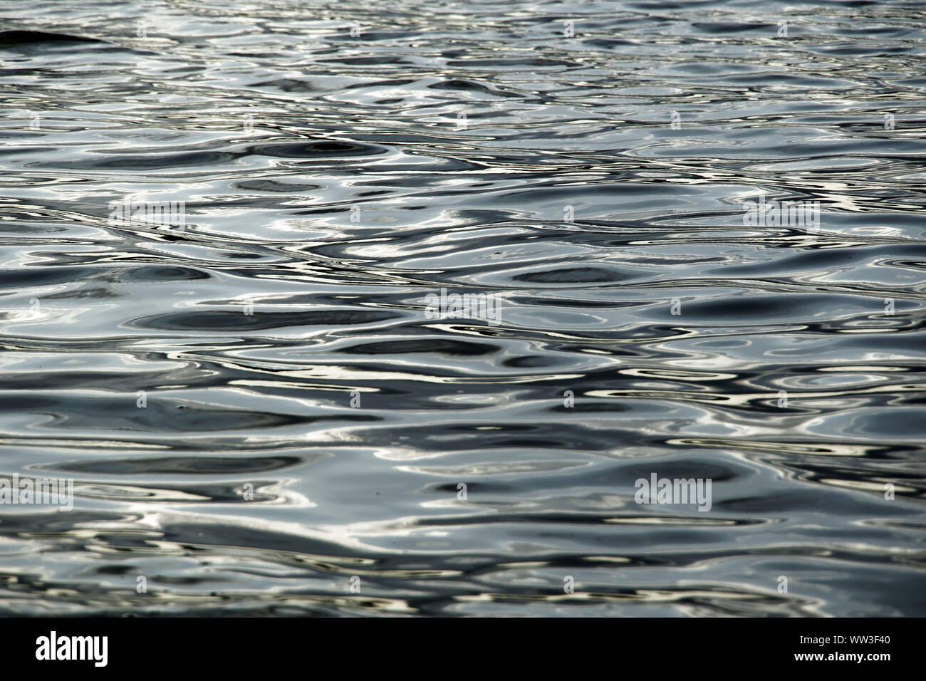 wave pattern on the water, refelecting light and shadows, real picture ...