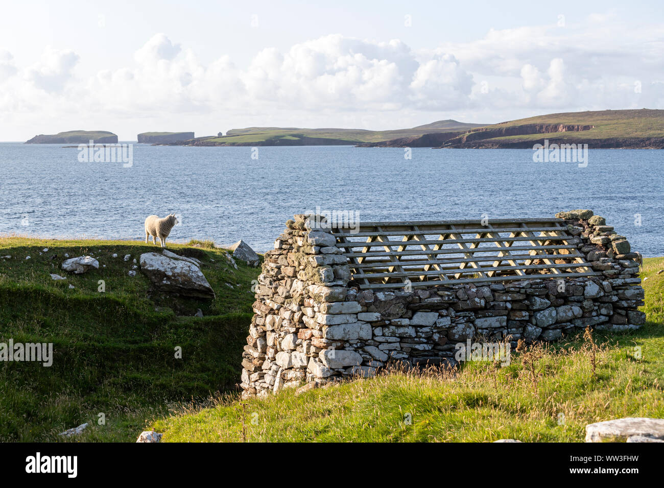 Huxter Ancient Water Mills and Papa Stour island at behind, Sandness ...