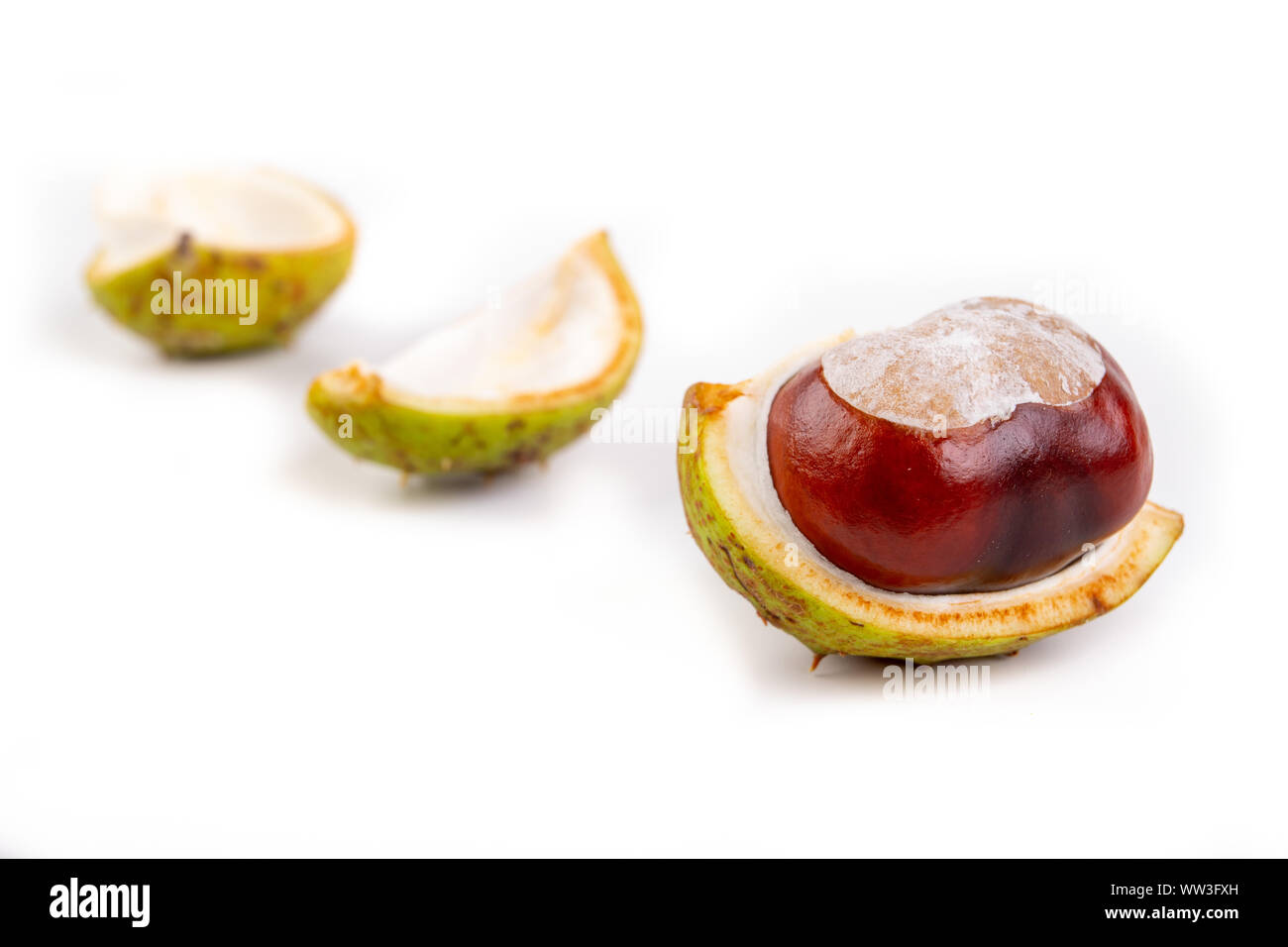 Chestnuts and shells on a white table. Ripe chestnut fruit. White ...