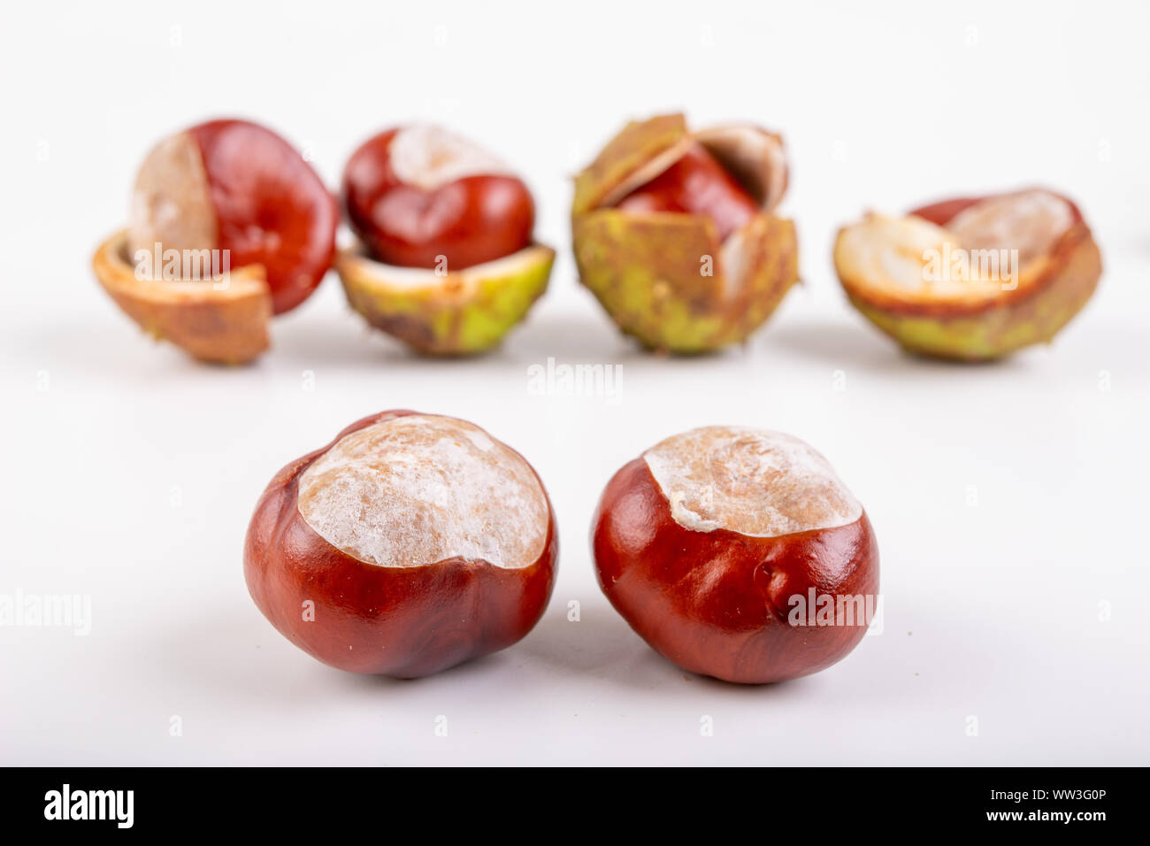 Chestnuts and shells on a white table. Ripe chestnut fruit. White ...