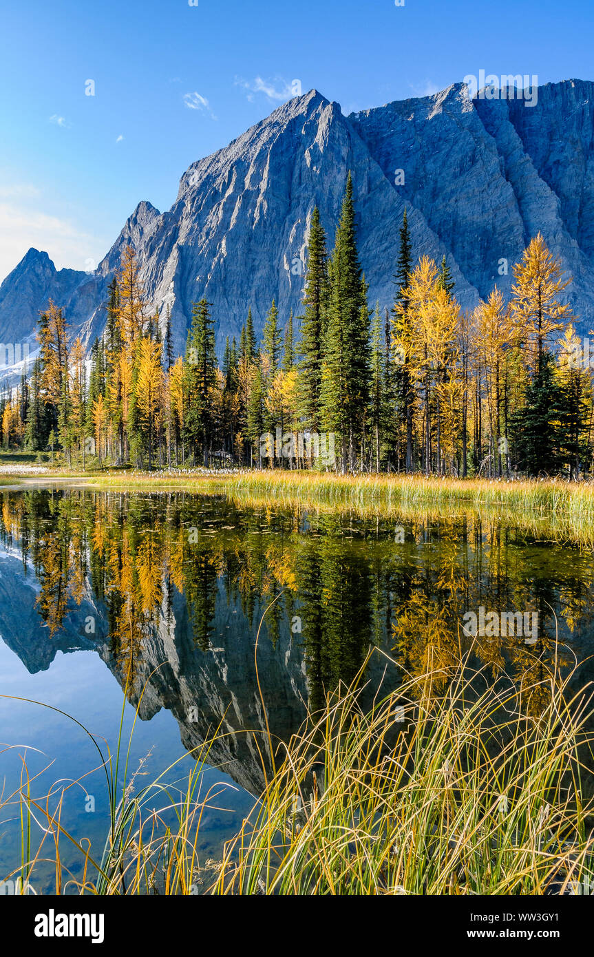 Kootenay lake park hi-res stock photography and images - Alamy