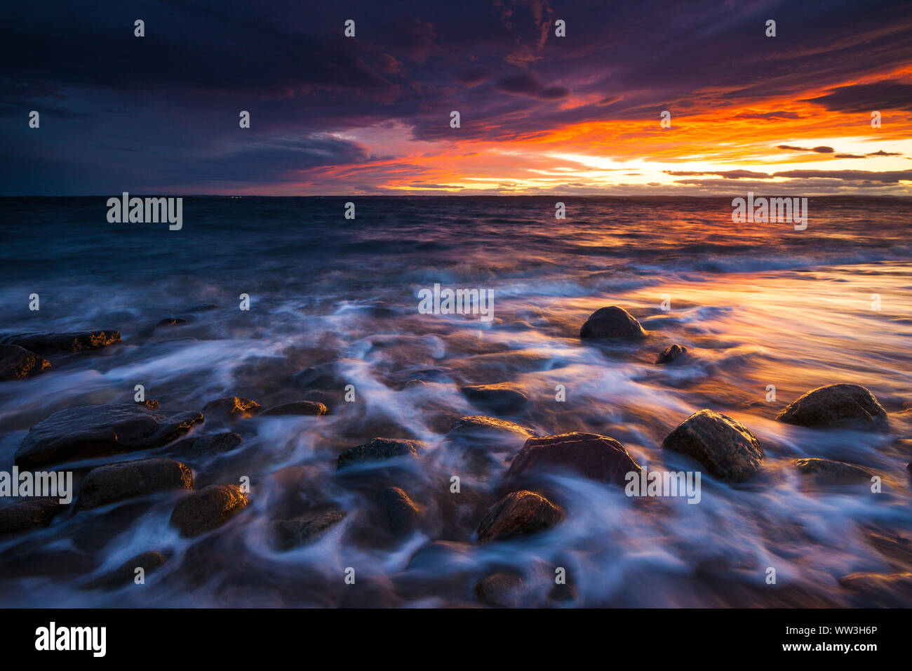 Rygge fuglevik hi-res stock photography and images - Alamy