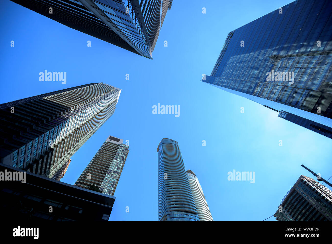 Modern buildings in Toronto city, Canada Stock Photo - Alamy