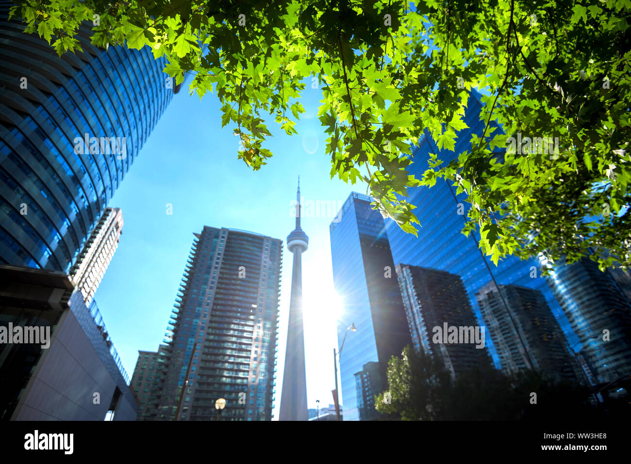 Modern buildings in Toronto city, Canada Stock Photo - Alamy