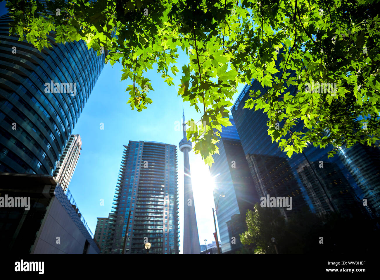Modern buildings in Toronto city, Canada Stock Photo - Alamy