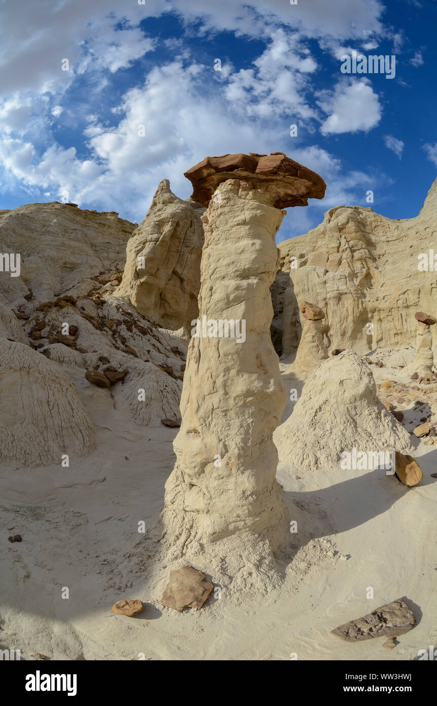 Tall toadstools hi-res stock photography and images - Alamy