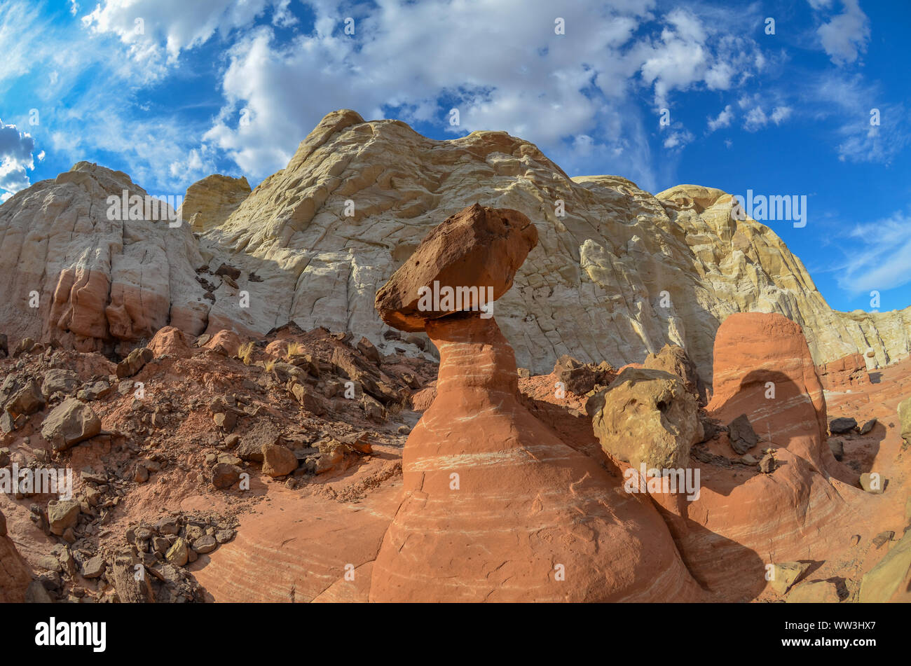 The Toadstools of Utah Stock Photo - Alamy