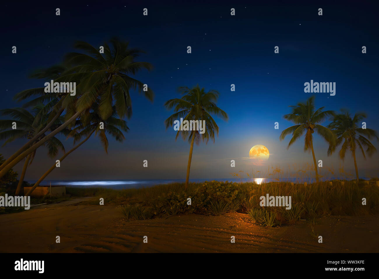 Full moon rising over a scenic beach hi-res stock photography and ...