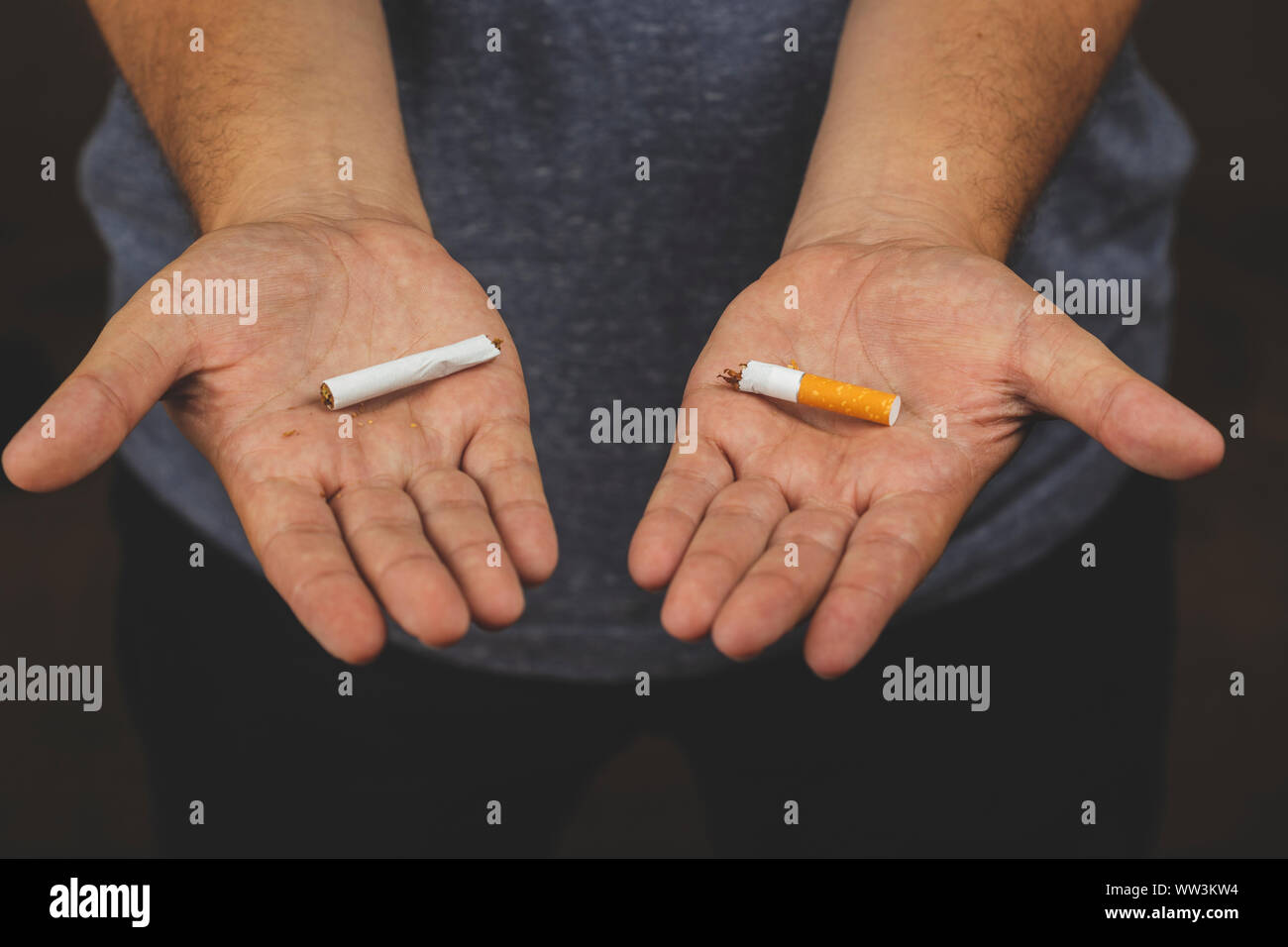 Stop smoking. Adult man breaking cigarette - Man Presenting Anti ...