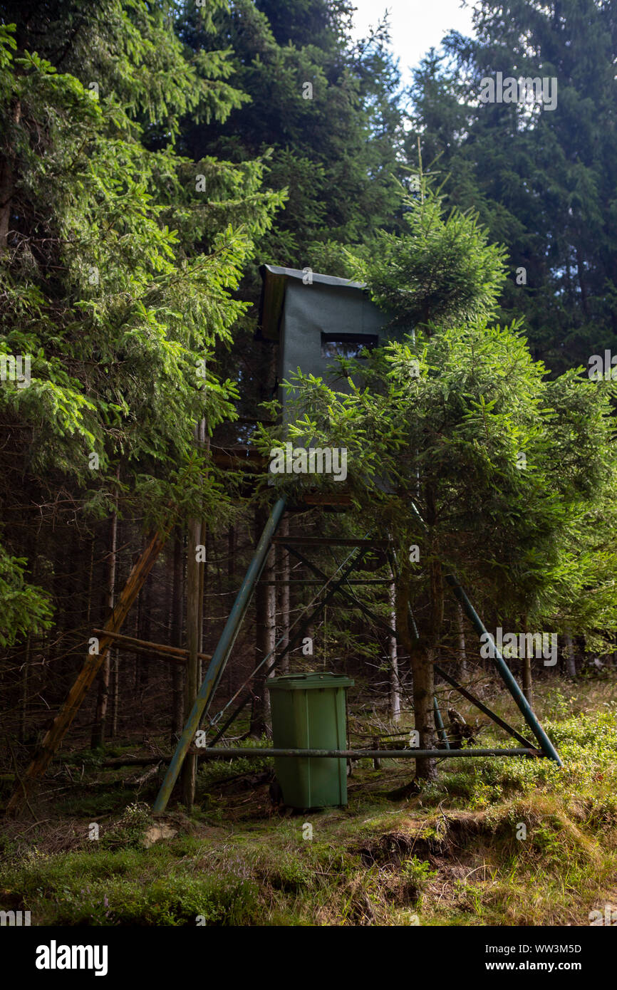 Wooden observation hut on stilts for spotting wildlife and birds half ...
