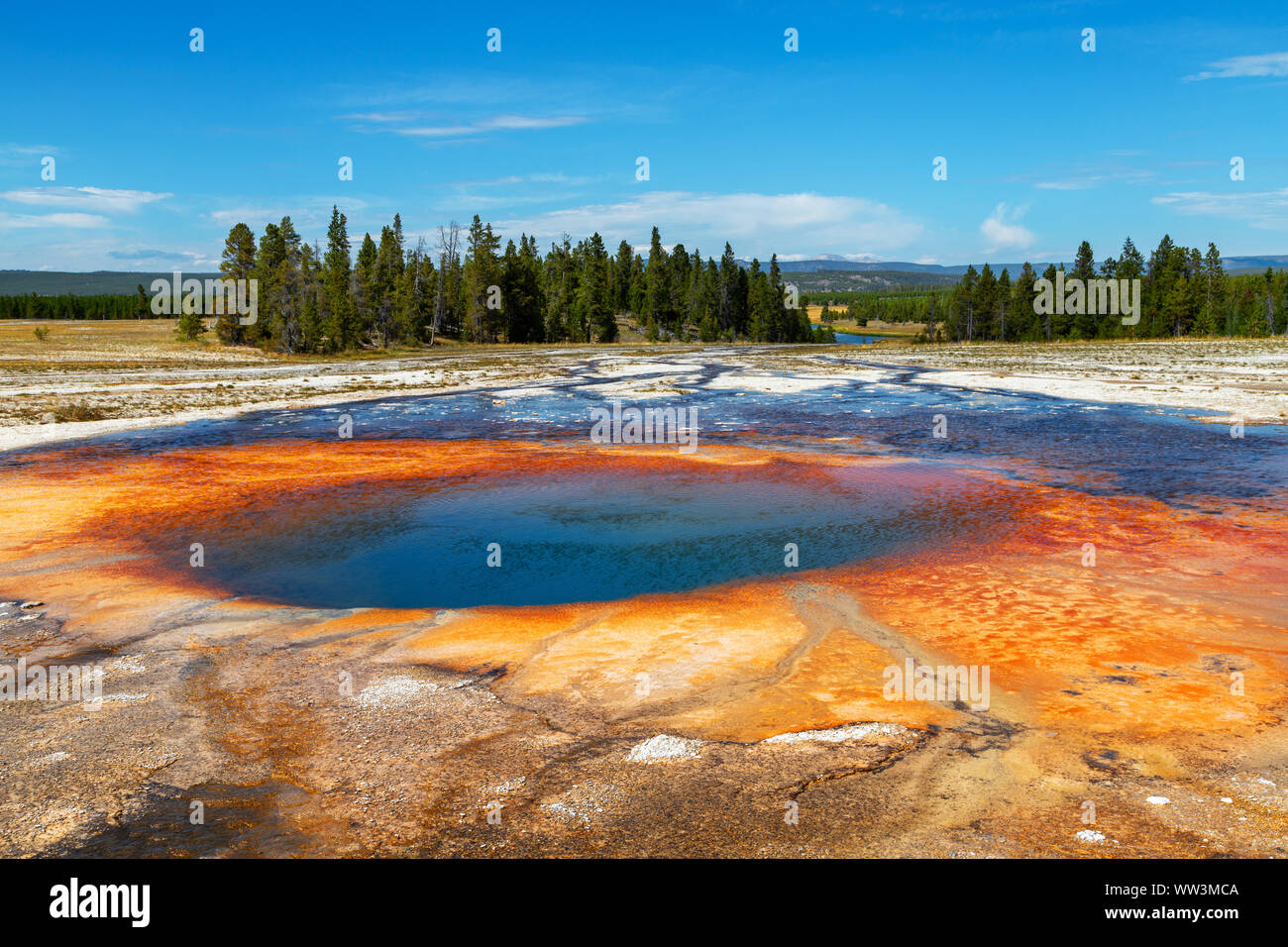 Steam rises from the Grand Prismatic Spring in Yellowstone National ...