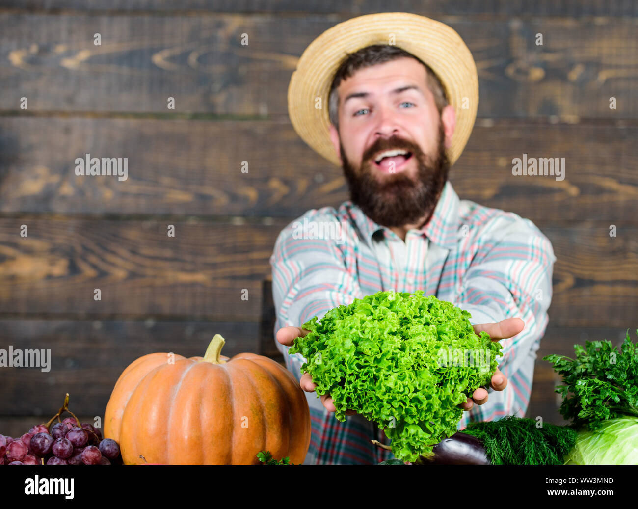 Buy vegetables local farm. Typical farmer guy. Farm market harvest ...