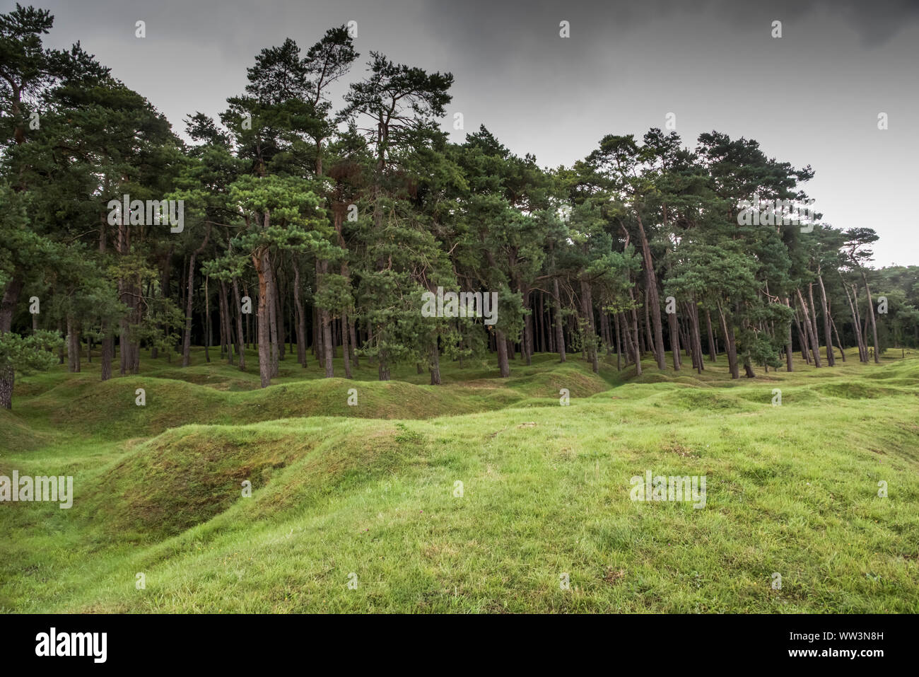 Restored WWI trenches at the Canadian visitors centre at Vimy Ridge on ...