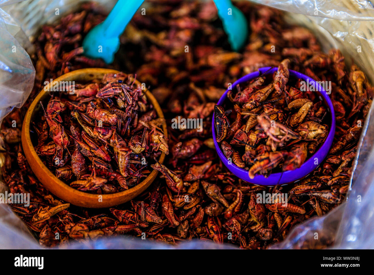 Mexican traditions, Gastronomy, crafts, ceramics, skin, saddlery, day ...