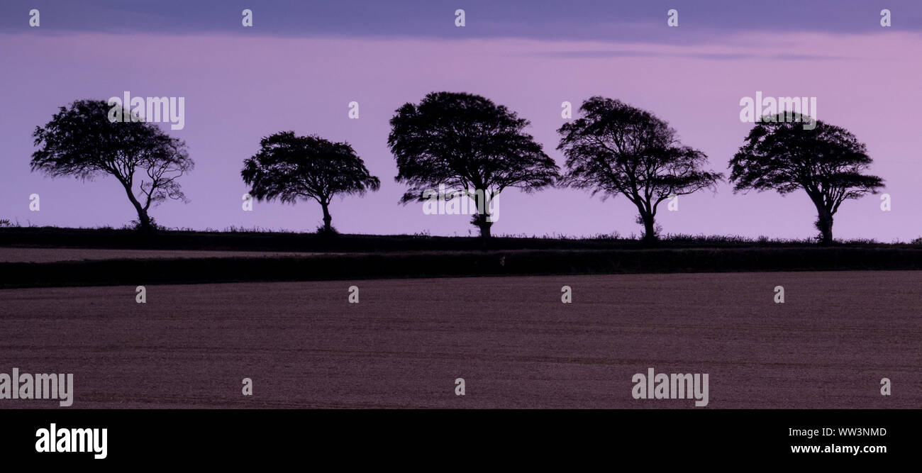 Rousdon, Devon, 12th September 2019. UK Weather: The waxing moon ...
