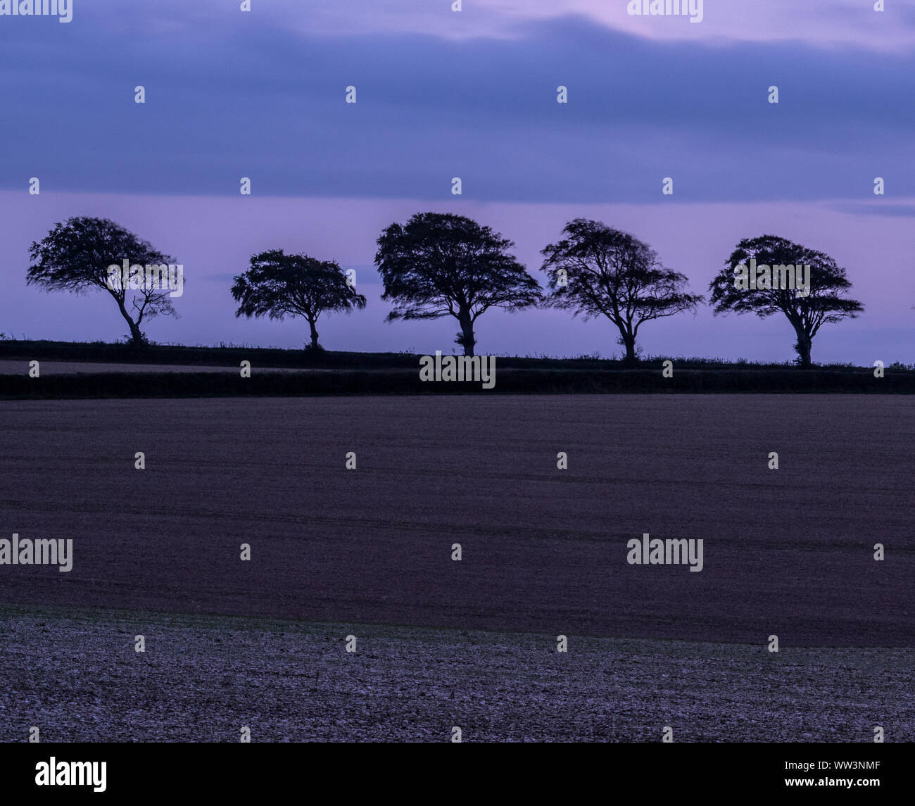 Harvest moon uk fields hi-res stock photography and images - Alamy