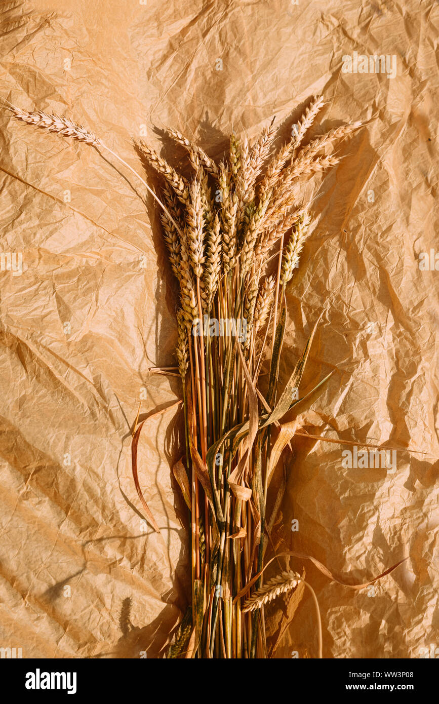 Bunch of ripe golden wheat on craft paper background. The concept of natural wheat products and ...