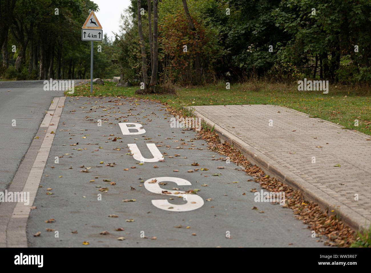Bus stop with the word bus painted on the streets besides the sidewalk ...
