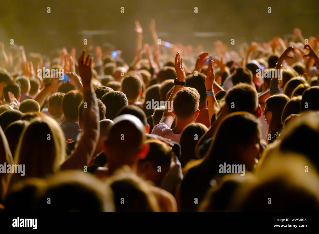 Crowd of fans are cheering at open-air music festival, back view Stock ...