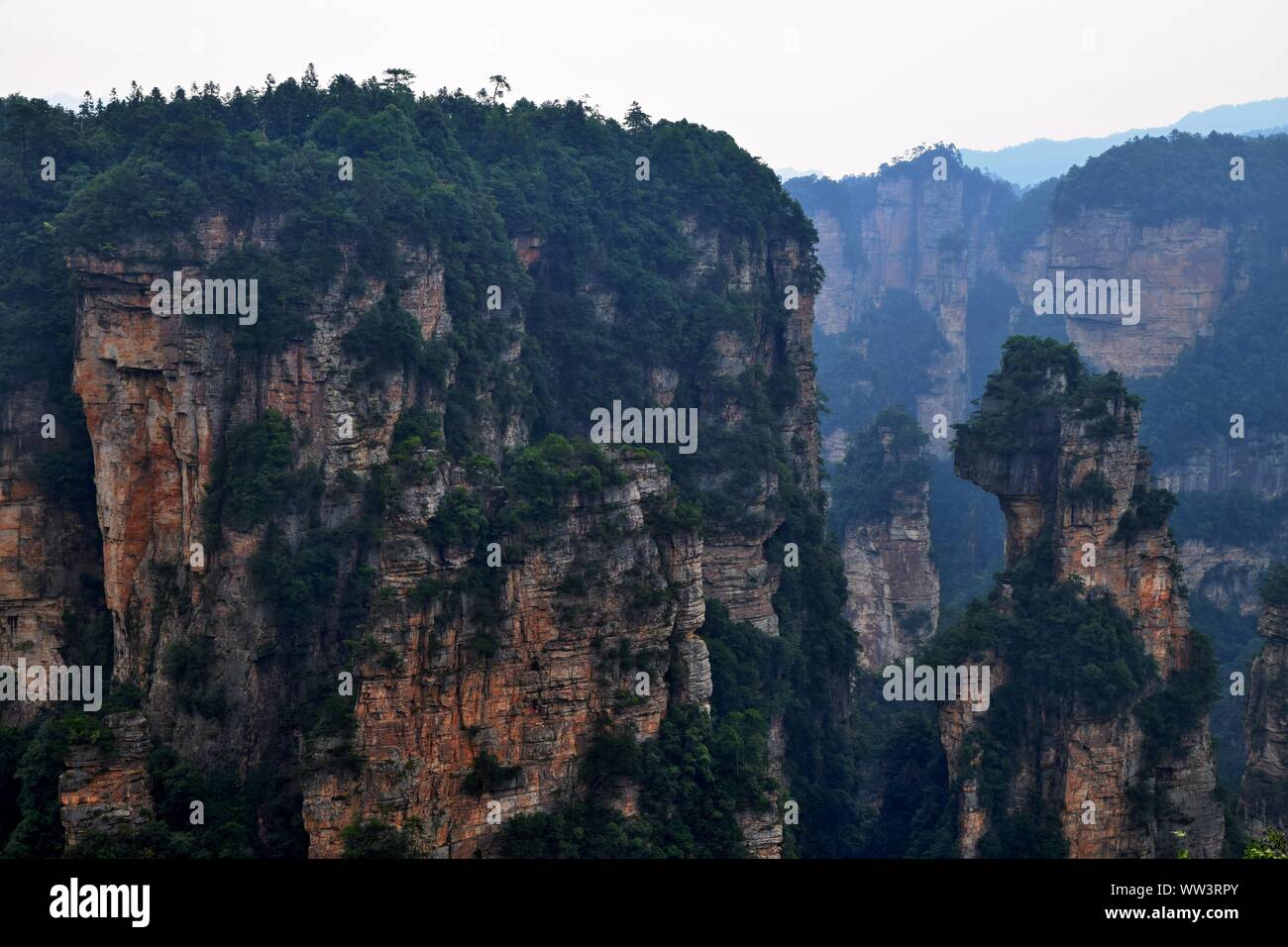 Zhangjiajie the Avatar mountains in Hunan province in China. Thousands ...