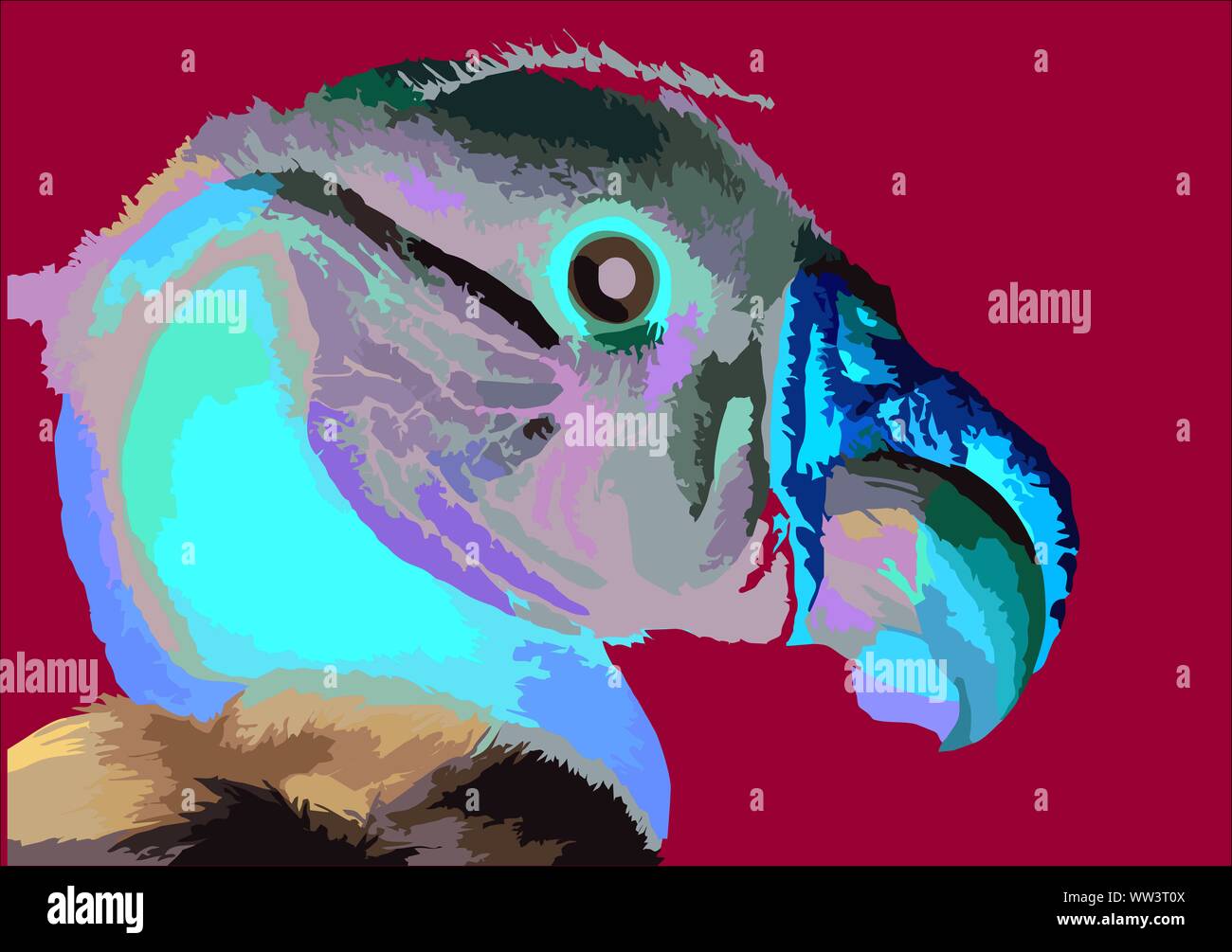 Peruvian Condor ilustration, Andes big eagle bird that you can find at ...