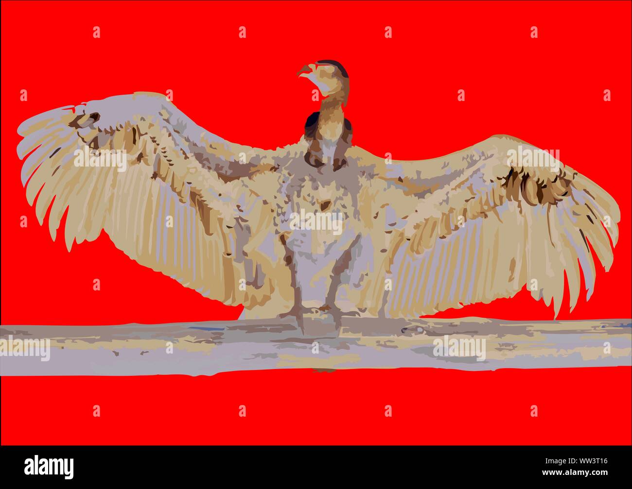 Peruvian Condor ilustration, Andes big eagle bird that you can find at ...