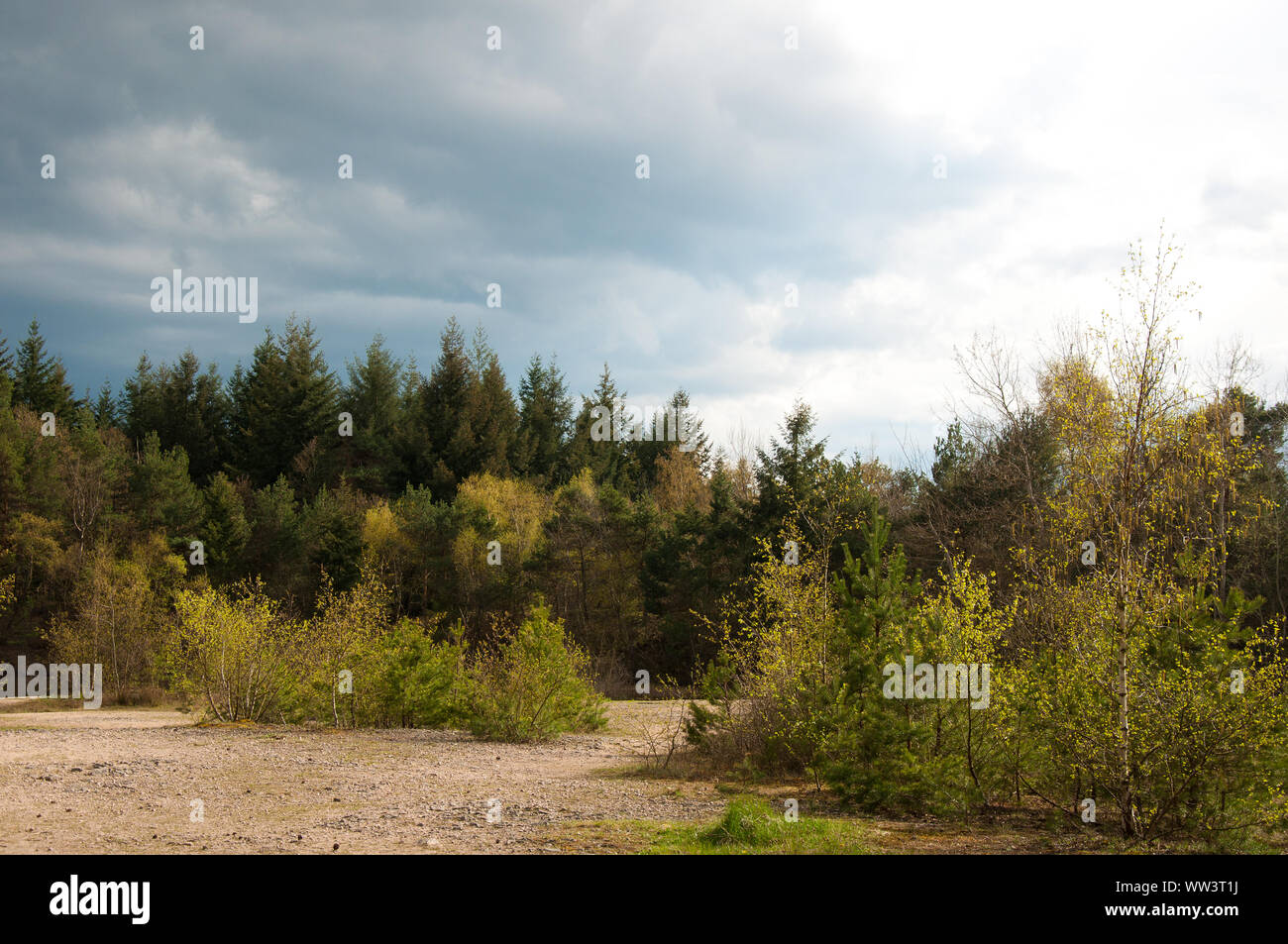 Clearing with treacherous weather by jziprian Stock Photo - Alamy