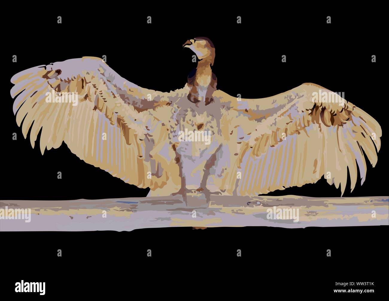 Peruvian Condor ilustration, Andes big eagle bird that you can find at ...