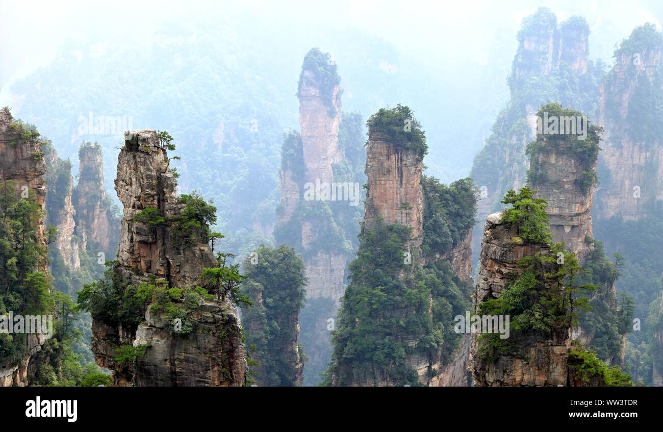 Zhangjiajie the Avatar mountains in Hunan province in China. Thousands ...
