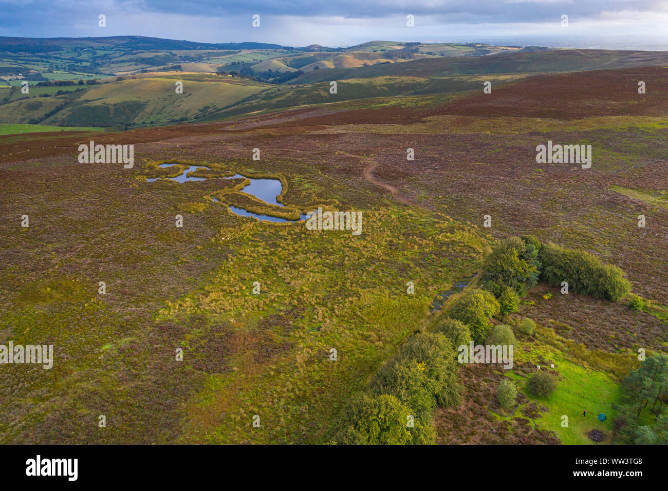 Aerial view over Long Mynd valley at bright summer day Stock Photo - Alamy