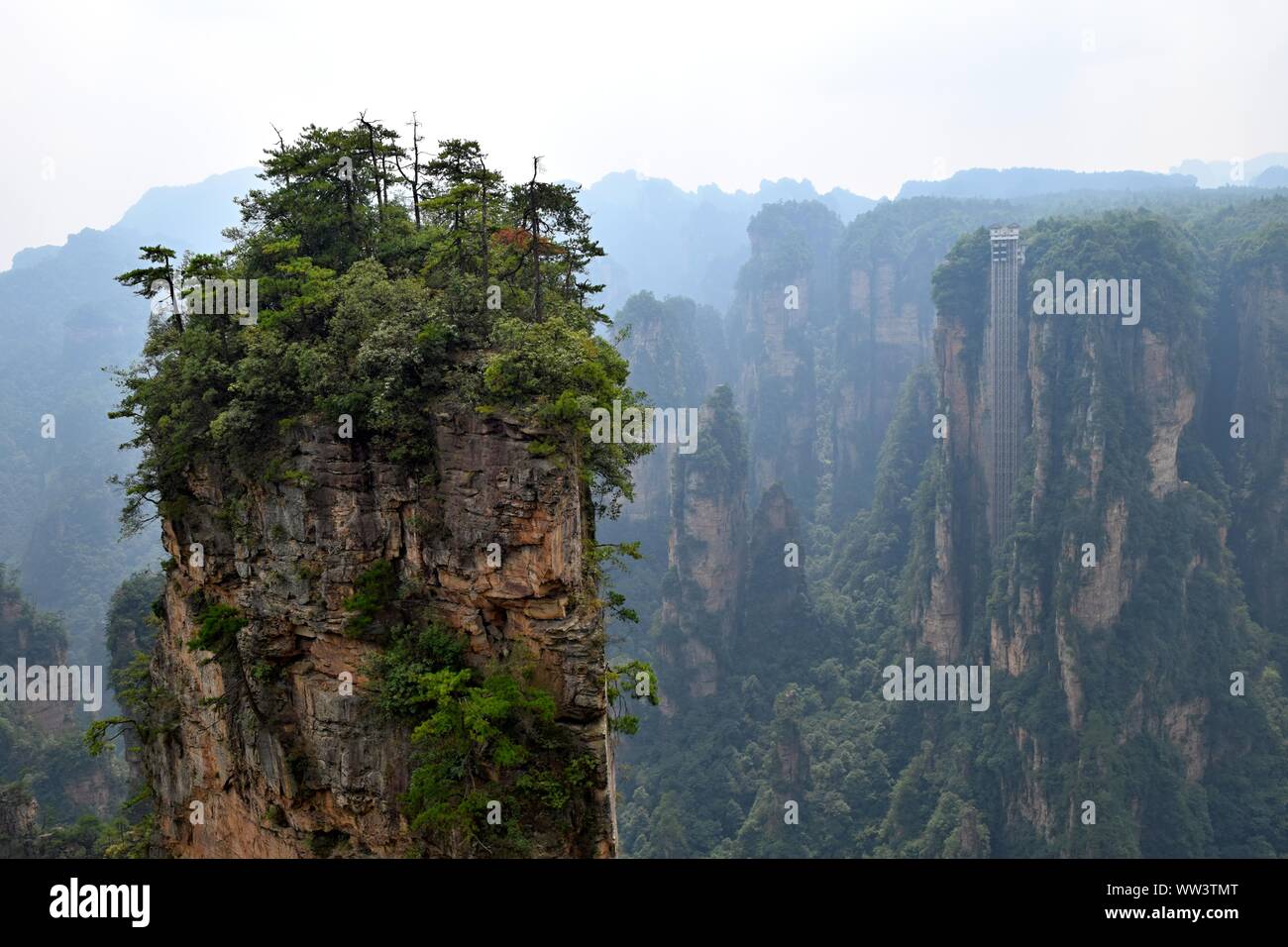 Zhangjiajie the Avatar mountains in Hunan province in China. Thousands ...