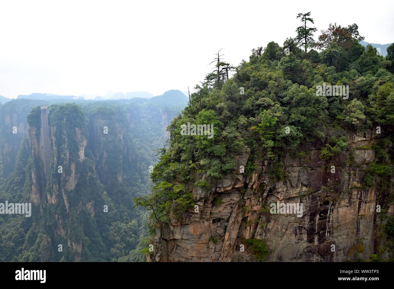 Zhangjiajie the Avatar mountains in Hunan province in China. Thousands ...