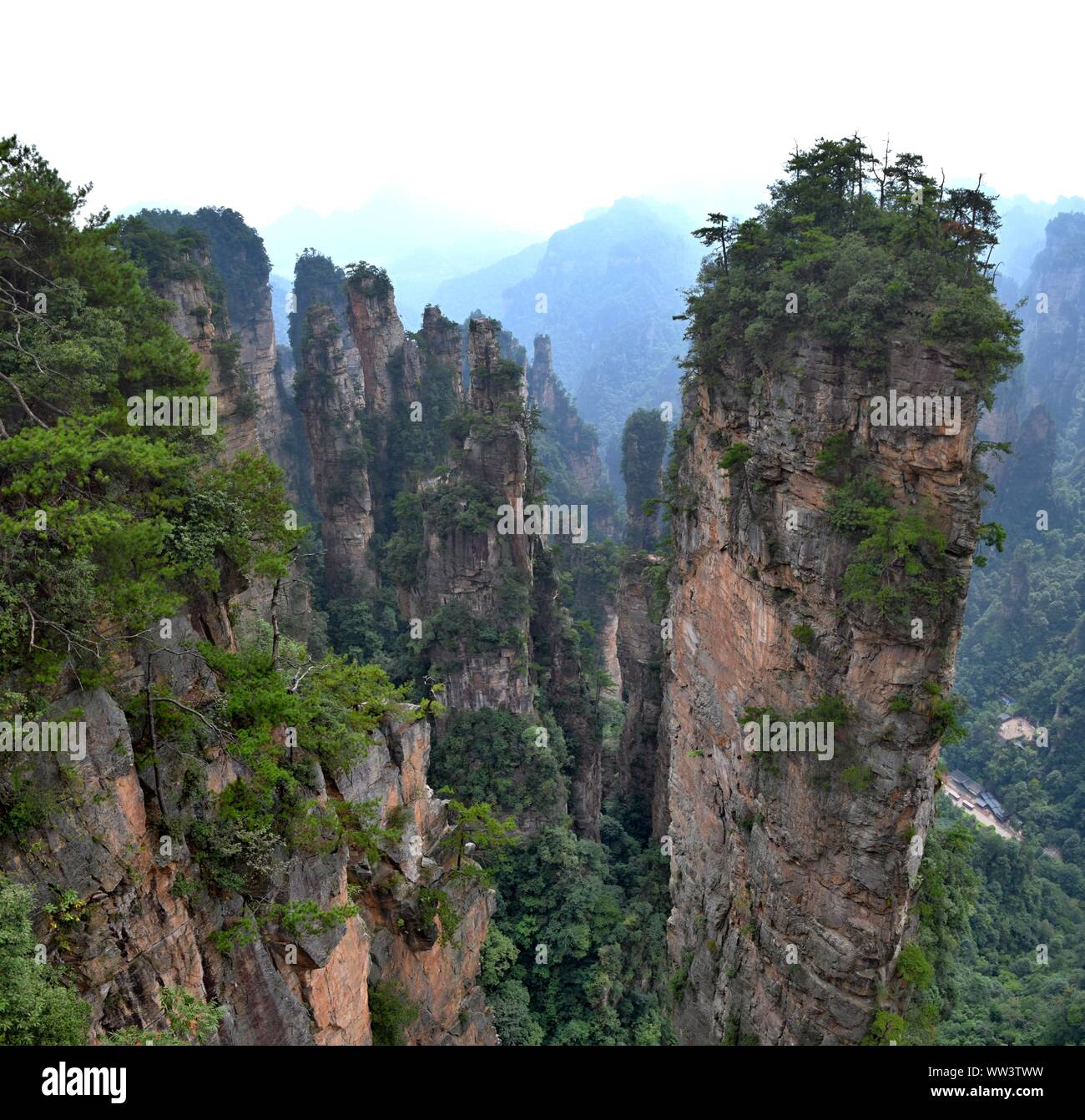 Zhangjiajie the Avatar mountains in Hunan province in China. Thousands ...