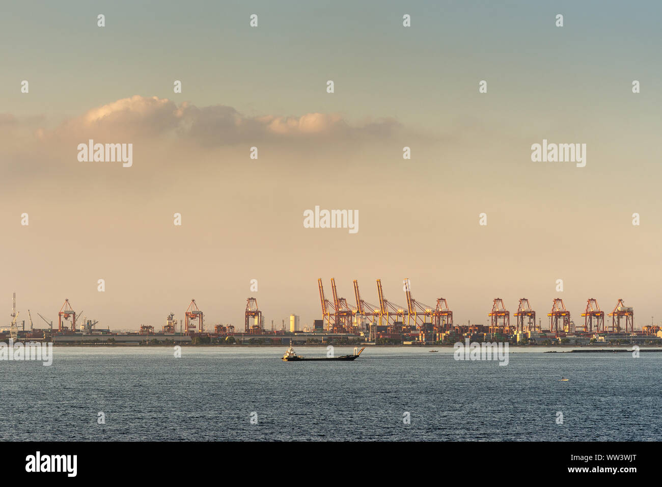 Multiple container cranes hi-res stock photography and images - Alamy